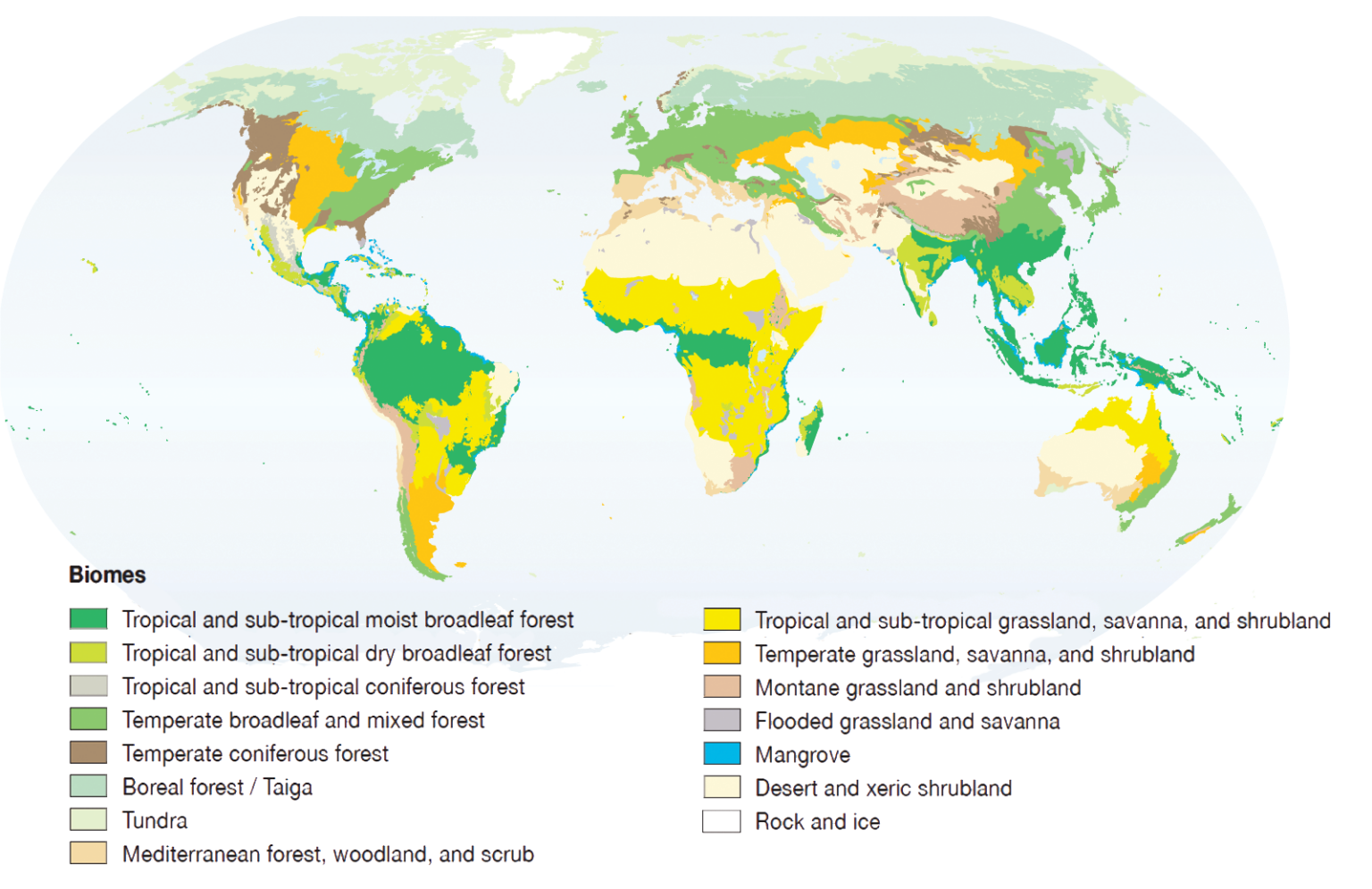 2.3. How climate change affects forests – UNDP Climate Box