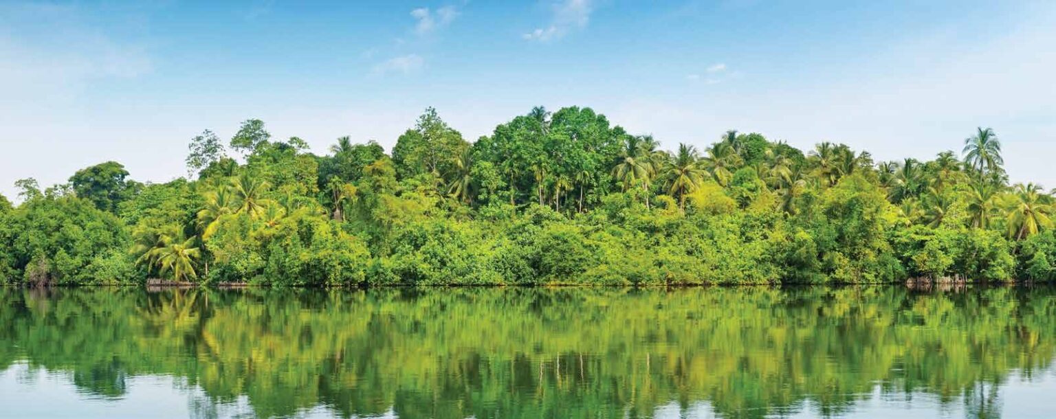 2.6. How climate change affects coastal regions - UNDP Climate Box