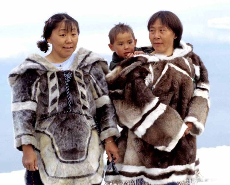 2.8. How climate change affects the Arctic region – UNDP Climate Box